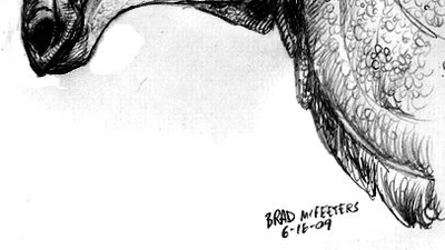 Discuss Everything About Dinopedia | Fandom