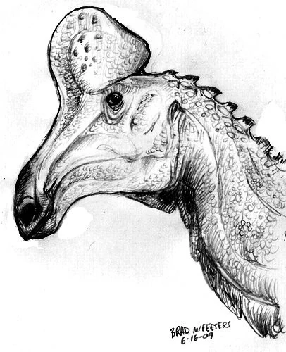 Angulomastacator | Dinopedia | Fandom