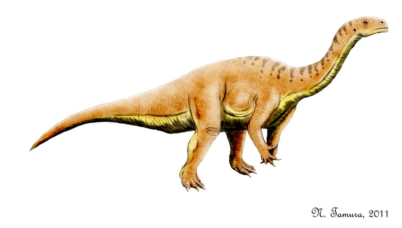 Leonerasaurus | Dinopedia | Fandom