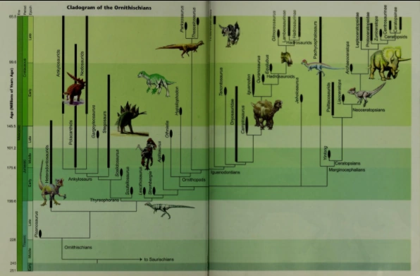 Jeholosaurus | Dinopedia | Fandom