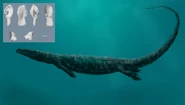 Pannoniasaurus | Dinopedia | Fandom