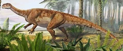 Irisosaurus | Dinopedia | Fandom
