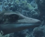 Phosphorosaurus | Dinopedia | Fandom