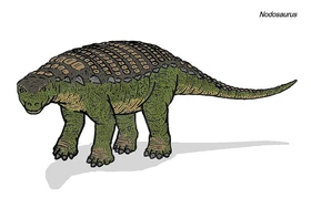 Nodosaurus | Dinopedia | Fandom