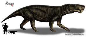 Gorgonopsia | Dinopedia | Fandom