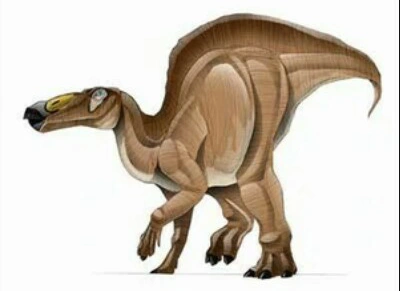 Category:Dinosaurs of China | Dinopedia | Fandom