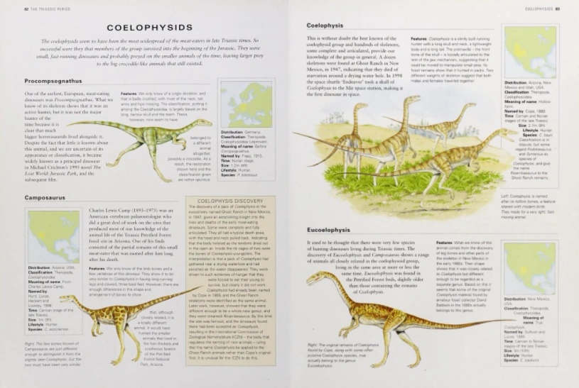 Eucoelophysis | Dinopedia | Fandom