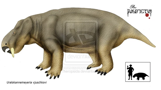 Kannemeyeriidae | Dinopedia | Fandom