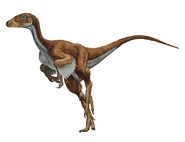 Dromaeosaurus | Dinopedia | Fandom