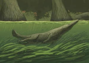 Eocetus | Dinopedia | Fandom