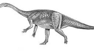 Discuss Everything About Dinopedia | Fandom