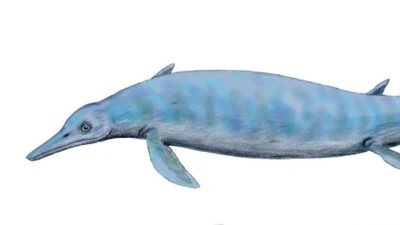 Discuss Everything About Dinopedia | Fandom