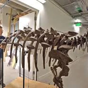 Discuss Everything About Dinopedia | Fandom