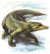 Protosuchus | Dinopedia | Fandom