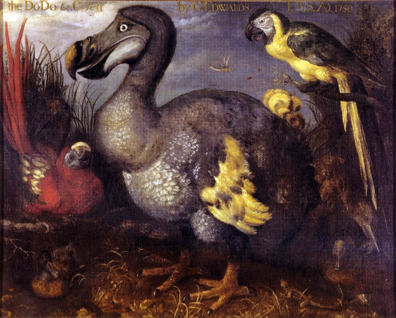 Dodo | Dinopedia | Fandom