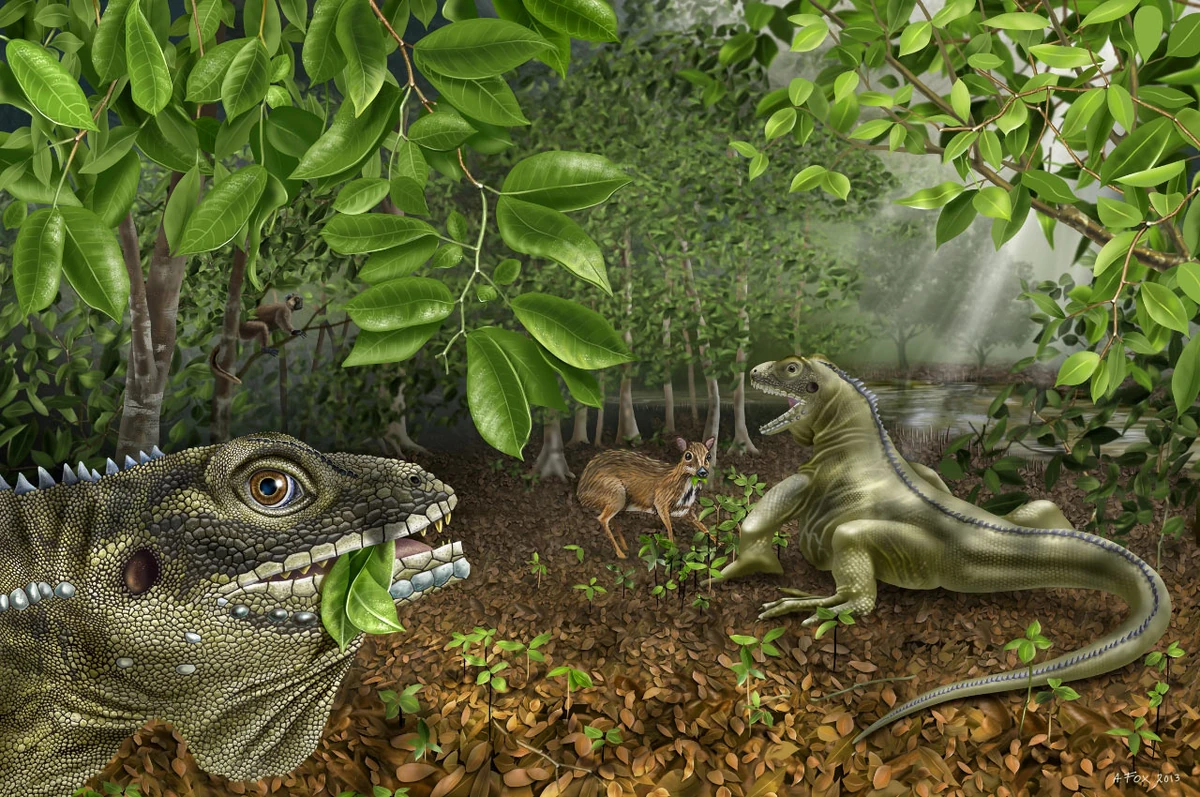 Barbaturex | Dinopedia | Fandom