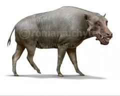 Paraentelodon | Dinopedia | Fandom