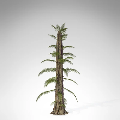 Tempskya | Dinopedia | Fandom