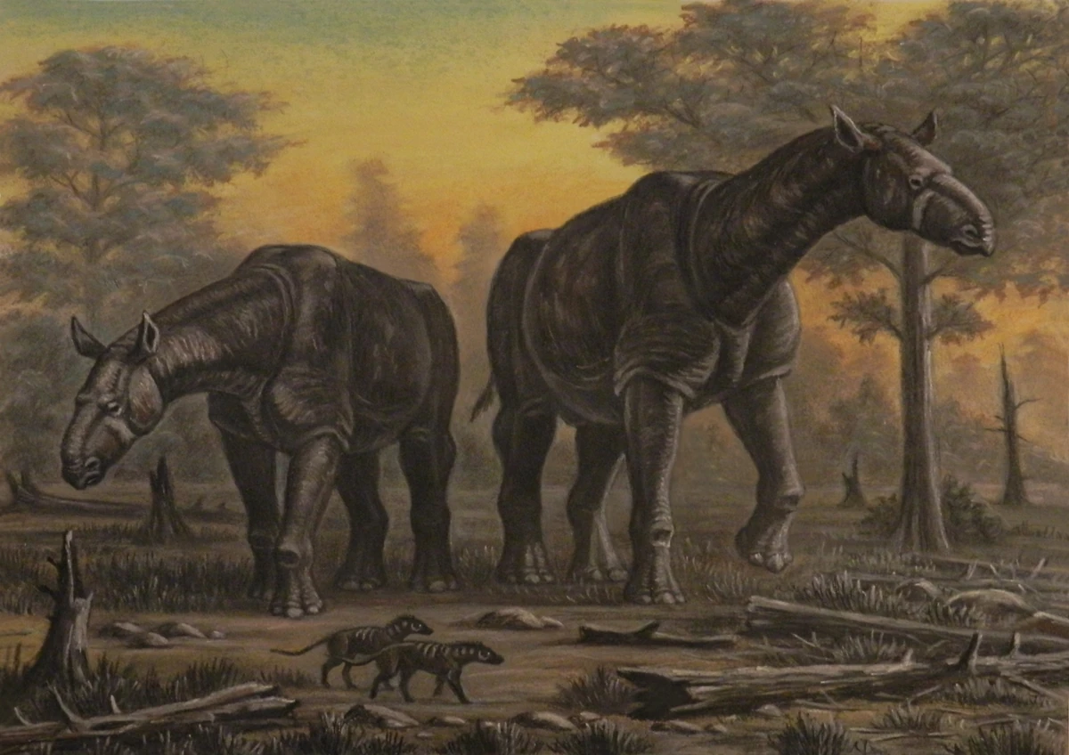 Paraceratherium | Dinopedia | Fandom