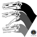 Spinosauridae | Dinopedia | Fandom