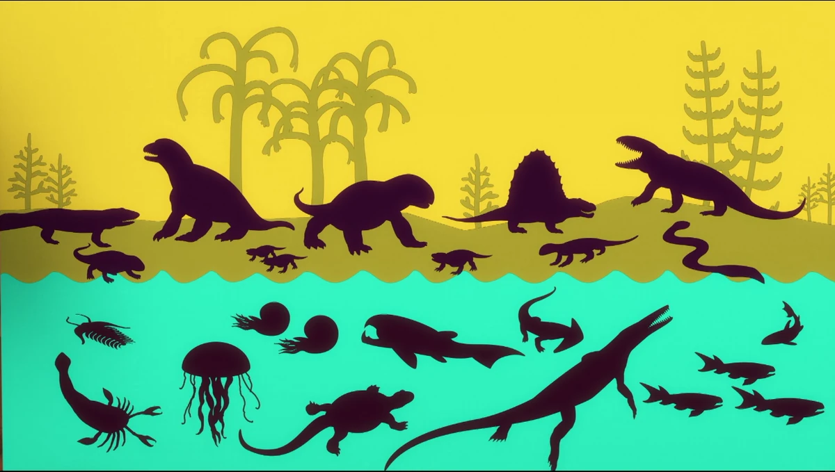 Acanthodes | Dinopedia | Fandom