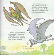 Sordes | Dinopedia | Fandom