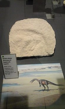 Norian | Dinopedia | Fandom