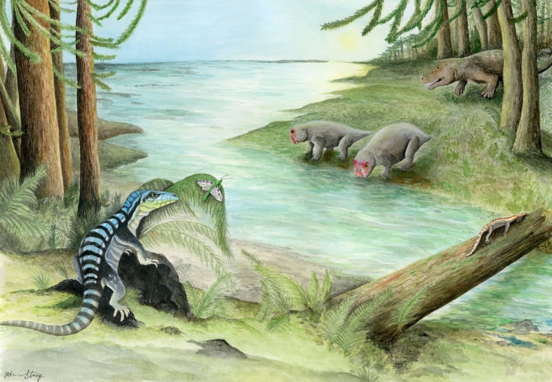 Prolacerta | Dinopedia | Fandom