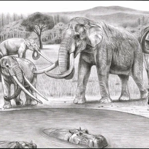 Discuss Everything About Dinopedia | Fandom