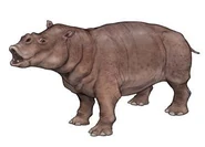 Metamynodon | Dinopedia | Fandom