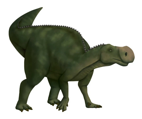 Latirhinus | Dinopedia | Fandom