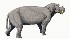 Uintatherium | Dinopedia | Fandom