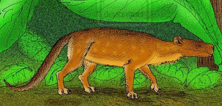 Aclistomycter | Dinopedia | Fandom
