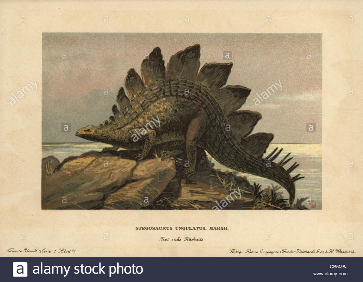 Hypsirhophus | Dinopedia | Fandom