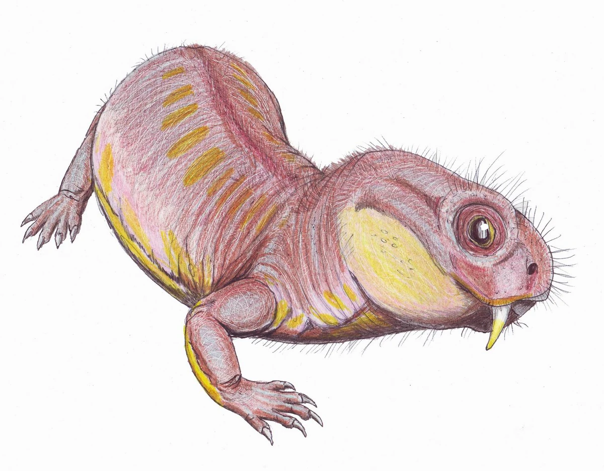 Robertia | Dinopedia | Fandom