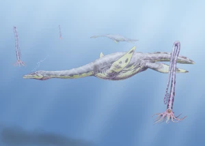 Aristonectes | Dinopedia | Fandom