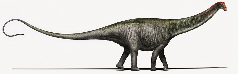 Brontosaurus | Dinopedia | Fandom