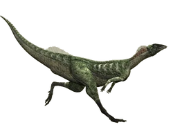 Lesothosaurus | Dinopedia | Fandom