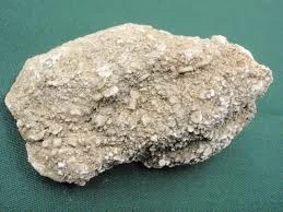Skeletal Limestone