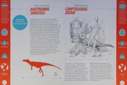 Aviatyrannis | Dinopedia | Fandom