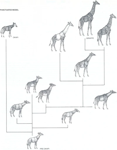 Gradualism | Dinopedia | Fandom