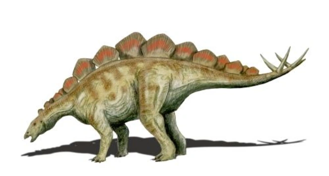 Hesperosaurus | Dinopedia | Fandom
