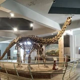 Kotasaurus | Dinopedia | Fandom