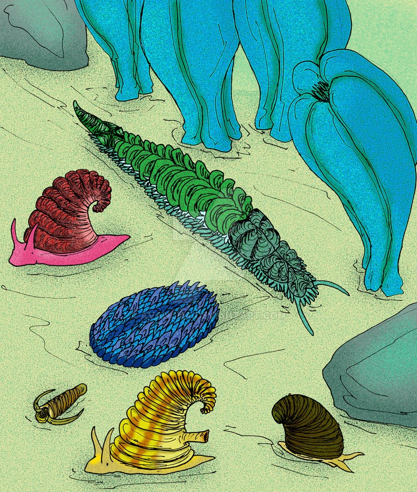 Tommotia | Dinopedia | Fandom