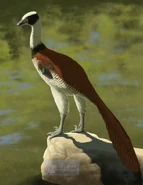 Halszkaraptor | Dinopedia | Fandom