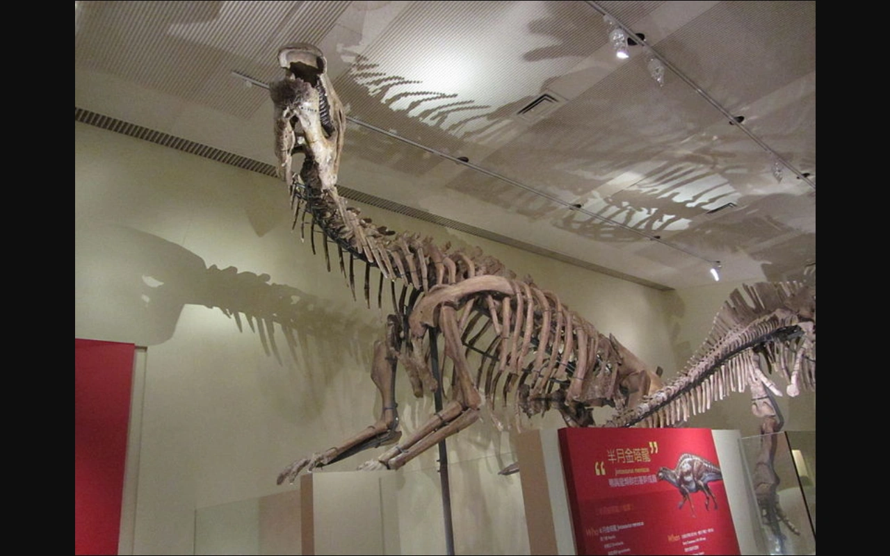 Discuss Everything About Dinopedia | Fandom