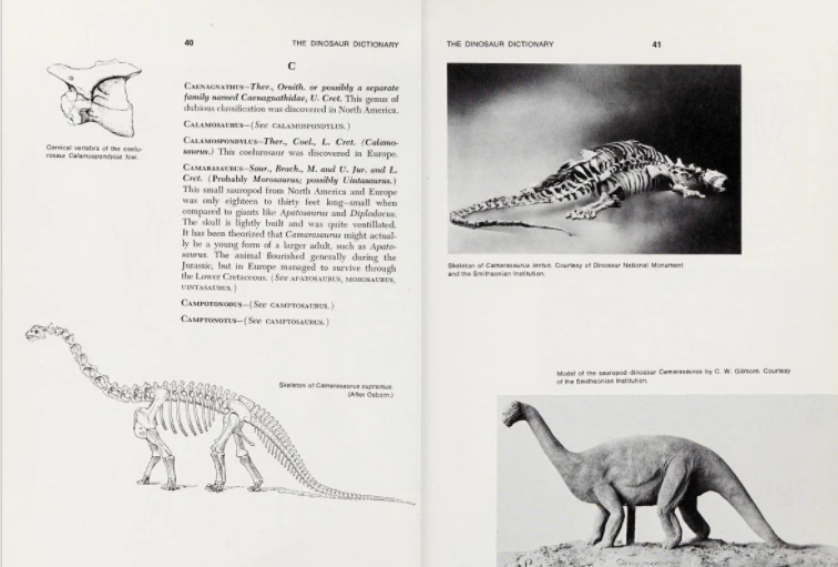 Calamosaurus | Dinopedia | Fandom