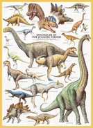 Huayangosaurus | Dinopedia | Fandom
