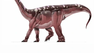 Discuss Everything About Dinopedia | Fandom
