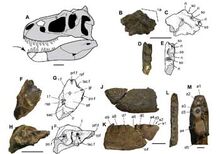 Nanuqsaurus | Dinopedia | Fandom